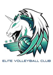 Elite Volleyball Club – Volleyball Queensland